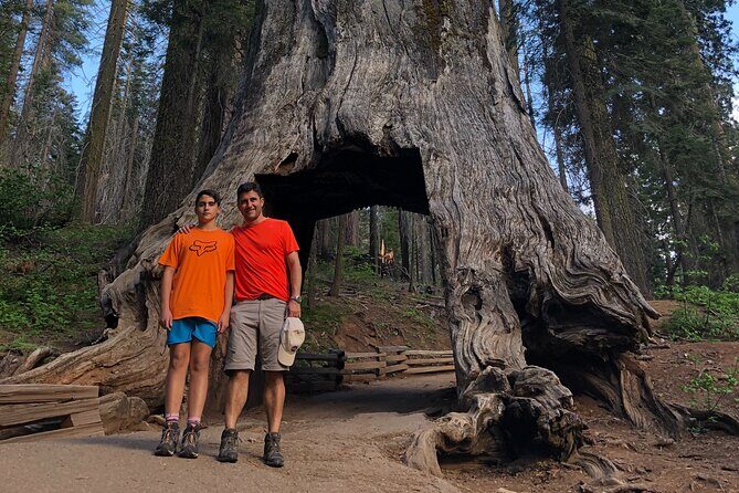 One Day In Yosemite Private Tour:Yosemite Valley, Glacier Point & Giant Sequoias - FAQs