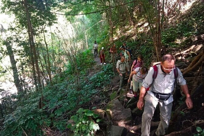 One Day Jungle Trek, Hill Tribe and Bamboo Rafting - Jungle Trek with a Local Guide
