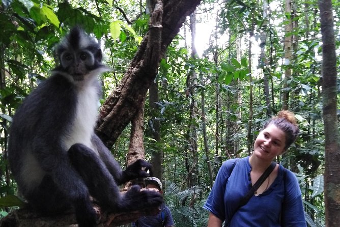 ONE DAY JUNGLE TREKKING 6-7 hours (see orang utan) + RAFTING in BUKIT LAWANG - Final Thoughts: Is This Tour Worth It?