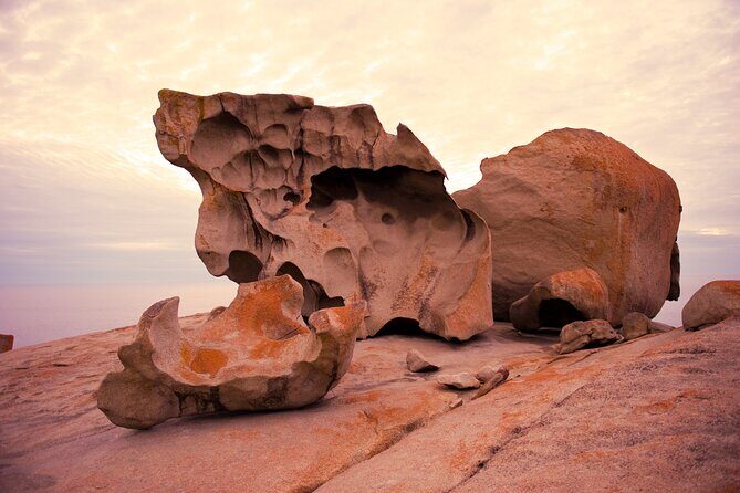 One Day Kangaroo Island Highlights Tour - Exploring Kangaroo Island: A Practical and Authentic Guide to the Highlights Tour
