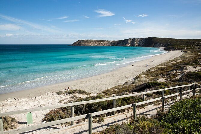 One Day Kangaroo Island Sip & See tour with return ferry transfers from Adelaide - Introduction: Is the Kangaroo Island Day Trip Worth It?