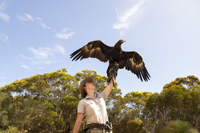 One Day Kangaroo Island Sip & See tour with return ferry transfers from Adelaide - Transportation & Group Size: Comfort & Atmosphere
