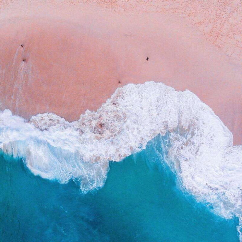 One-Day Komodo Tour By Speedboat - Key Points