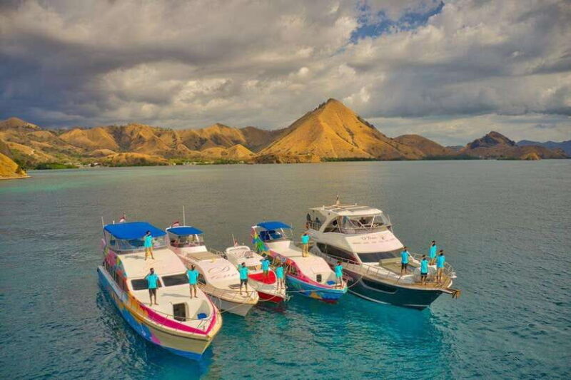 One-Day Komodo Tour By Speedboat - Final Thoughts: Who Is This Tour For?