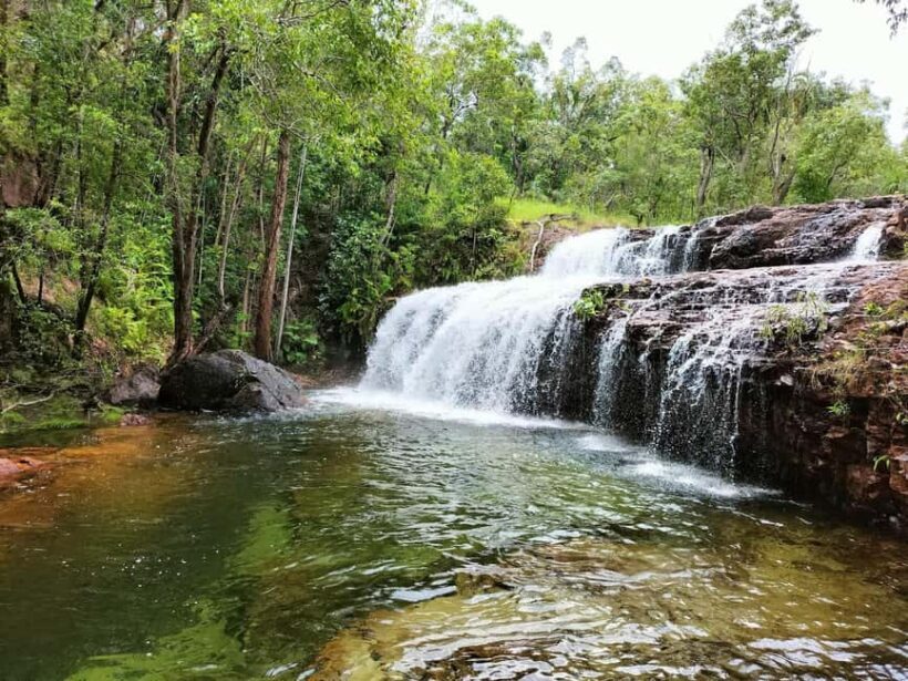 One Day Litchfield Park Adventures Tour + Berry Springs - The Sum Up