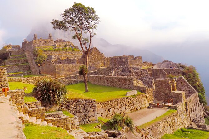 One-Day Machu Picchu Tour From Cusco by Train - Why Choose This Machu Picchu Tour