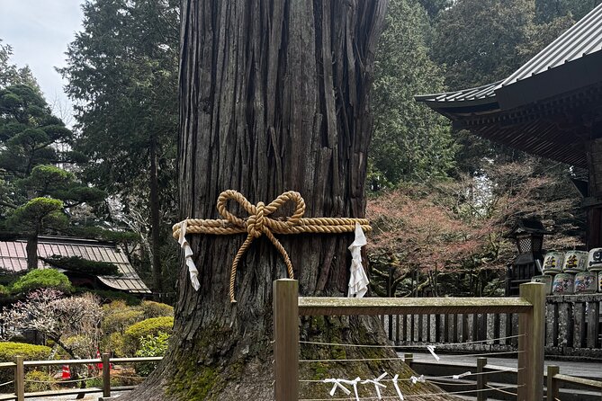 One Day Mountain Fuji & Hakone Tour With English Hindi Bilingual - Inclusions