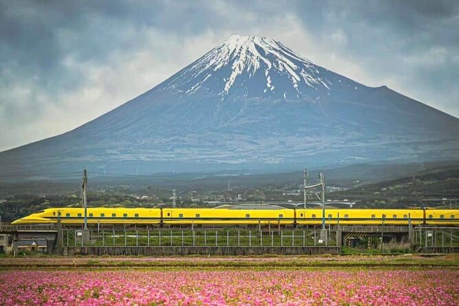 One Day Mountain Fuji & Hakone Tour With English Hindi Bilingual - Reviews and Ratings