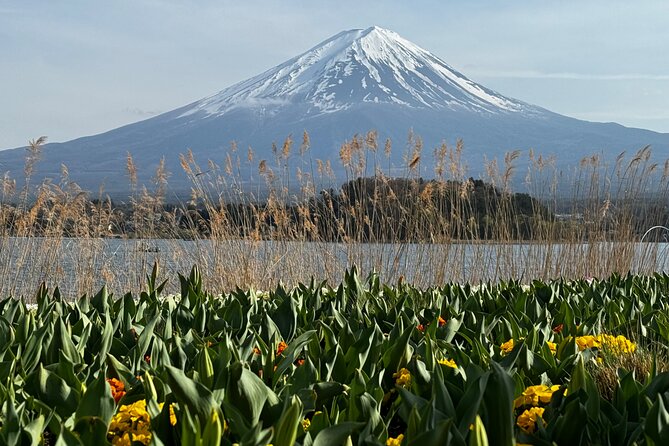 One Day Mountain Fuji & Hakone Tour With English Hindi Bilingual - Booking Information