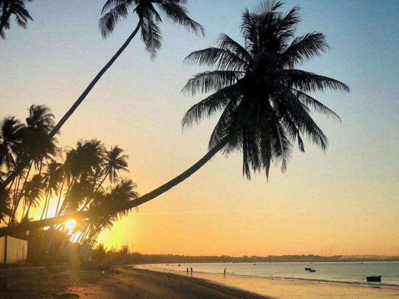 One-day Mui Ne adventure from Ho Chi Minh City - Tucking into Local Cuisine