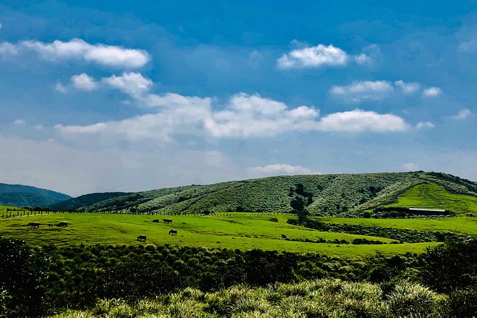 One-day private chartered car tour in Taipei: Yehliu, Jiufen, Pingxi, North Coast popular attractions with chartered car, professional Chinese/English driver - Why This Tour Is a Good Fit