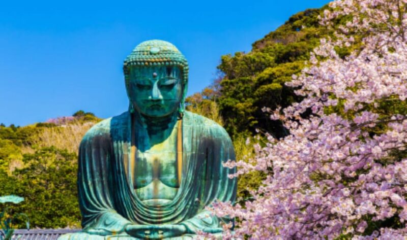 One Day Private Customized Self-Guided Tour in Kamakura - Transportation and Accessibility