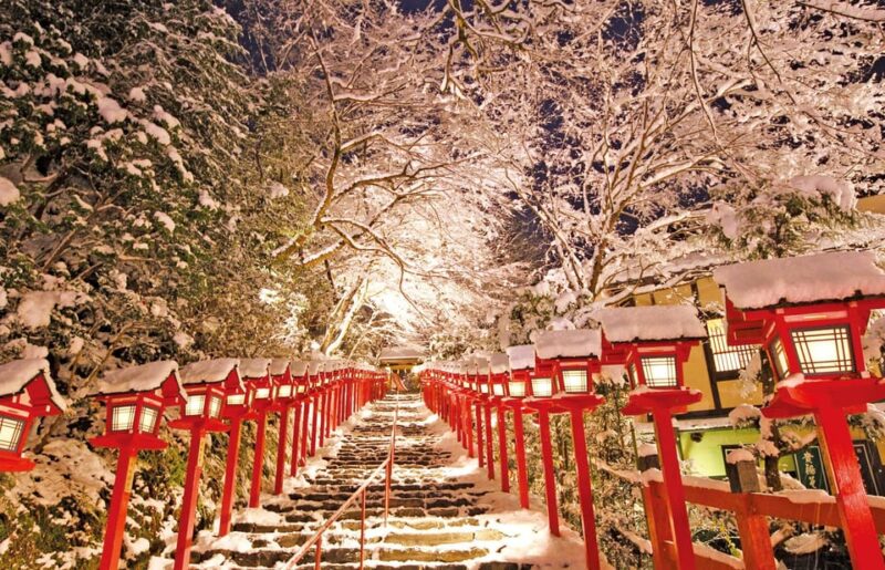 One Day Private Customized Self-Guided Tour in Kyoto - Key Points