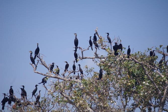 One Day Private Guide Tour to Prek Toal Biosphere - All Inclusive - The Sum Up