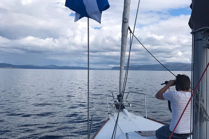 One Day Private Sailing from Oban Marina with Lunch - An In-Depth Look at the Experience