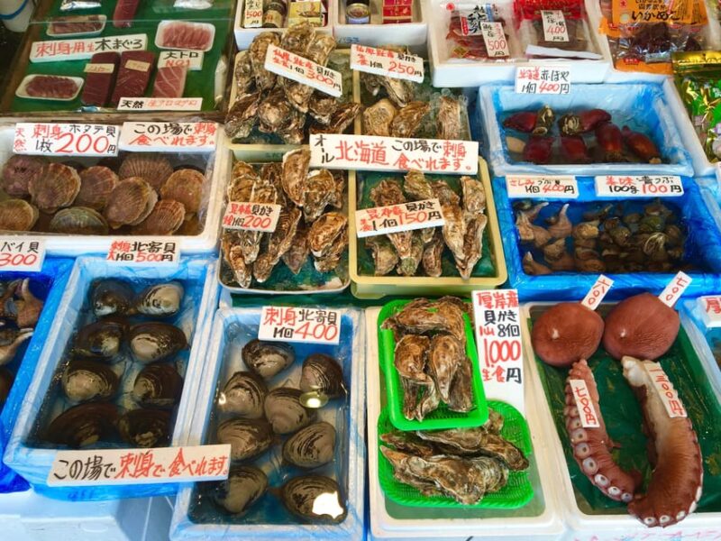 One Day Private Sapporo Highlights Tour - Key Points