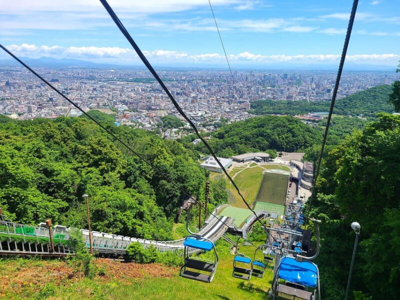 One Day Private Sapporo Highlights Tour - Customer Reviews