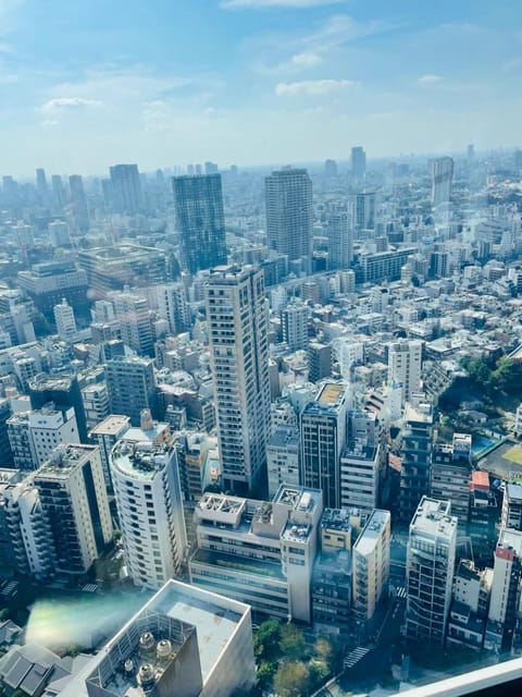 One Day Private Tokyo Tour With English Guide - Key Points