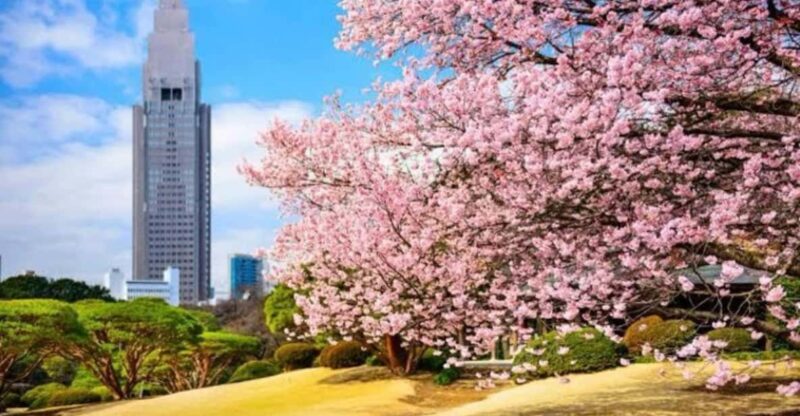 One Day Private Tokyo Tour With English Guide - Optional Visits