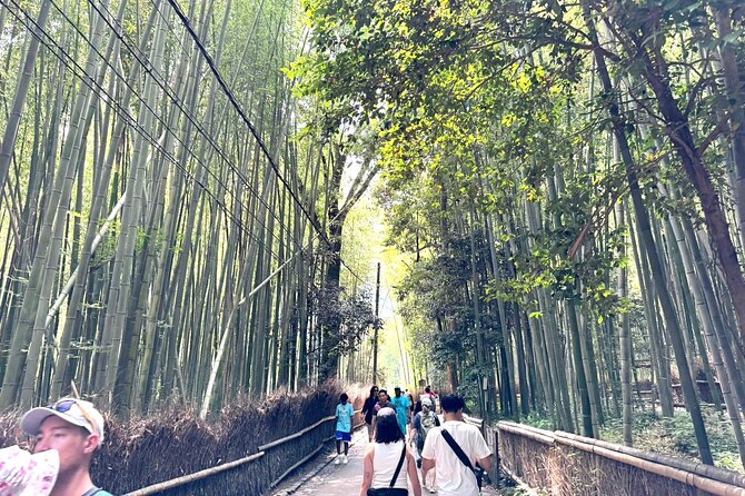 One Day Private Tour in Kyoto and Nara From Osaka - Tour Participation Information