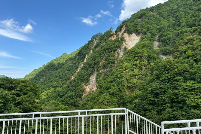 One Day Private Tour in Nikko From Tokyo - Meeting and Pickup Details