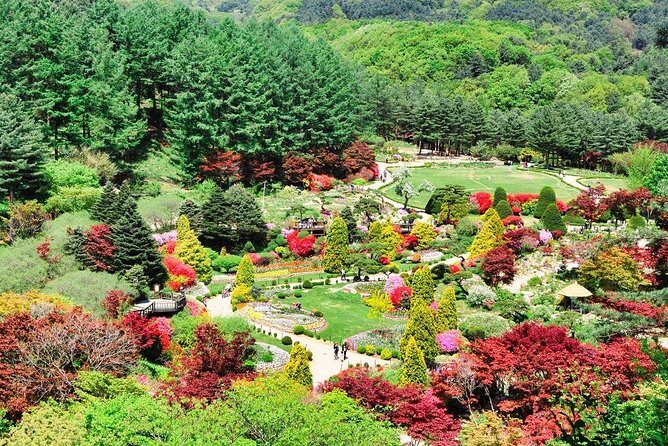 One Day Private Tour-Nami, Petite and Garden of Morning Calm - Key Points
