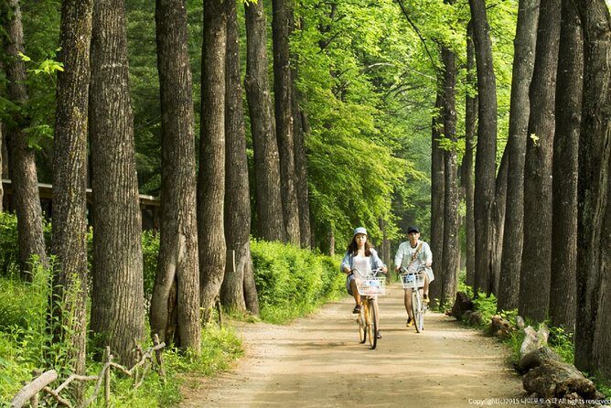 One Day Private Tour-Nami, Petite and Garden of Morning Calm - Final Thoughts: Is This Tour Worth It?