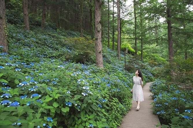 One Day Private Tour-Nami, Petite and Garden of Morning Calm - Final Words