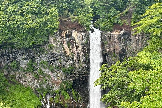 One Day Private Tour Nikko Tochigi by Car - Accessibility and Participation