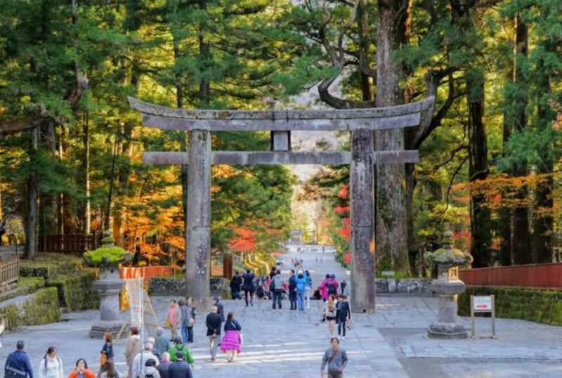One Day Private Tour Nikko Tochigi by Car With Guide - Why Choose This Tour