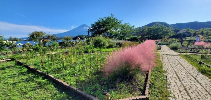 One Day Private Tour of Mount Fuji - Tour Overview and Pricing