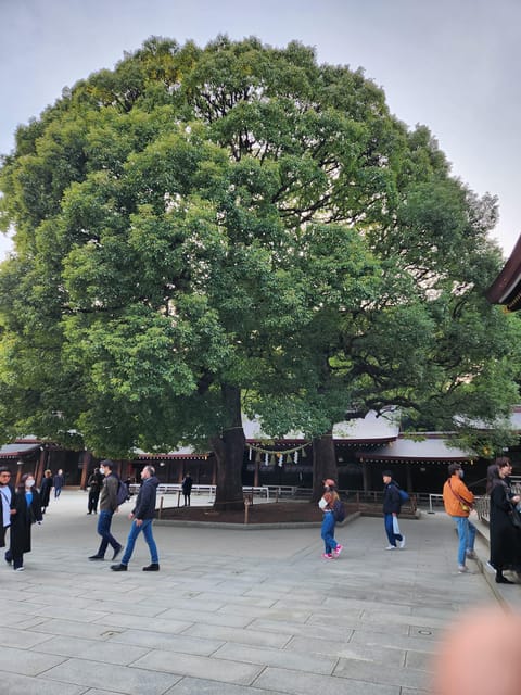 One Day Private Tour of Tokyo Famous Places - Tokyo Skytree