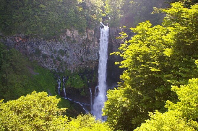 One Day Private Tour to Nikko With English Speaking Driver - Dining Experience
