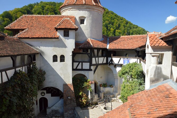 One Day Private Tour to Peles and Dracula Castles & Brasov City - Inclusions and Transportation