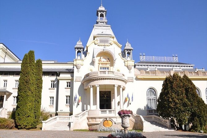 One Day Private Tour to Peles and Dracula Castles & Brasov City - Safety and Accessibility