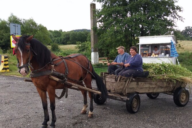One Day Private Tour to Peles and Dracula Castles & Brasov City - Exploring Bran Castle (Draculas Castle) and Brasov City