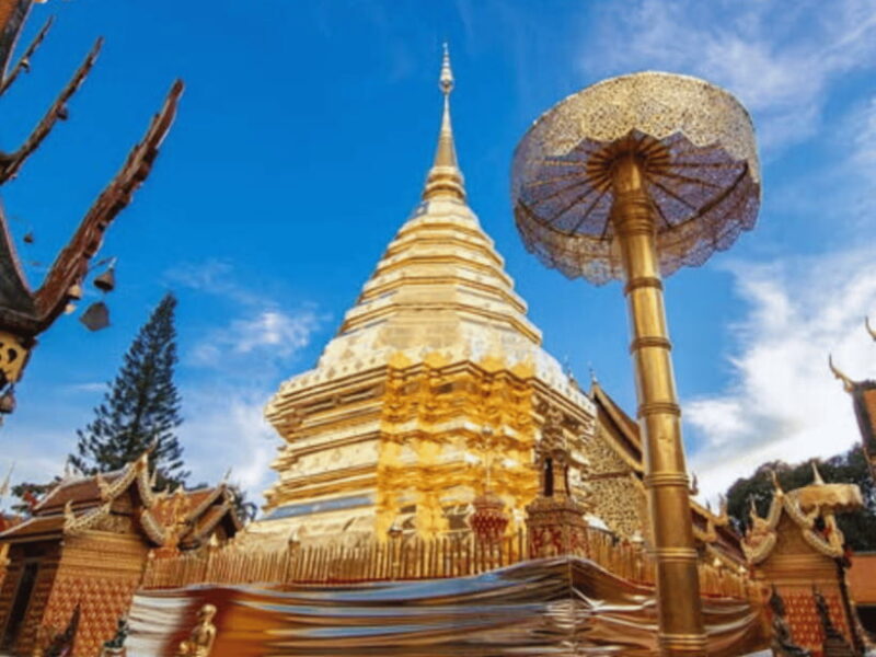 One-Day Private Tour with Driver :Temples & Mae Sa Waterfall - Key Points