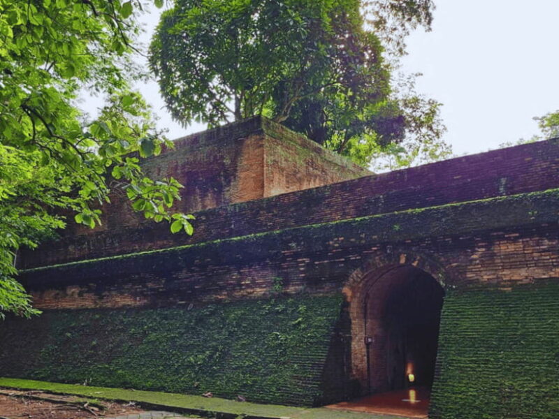 One-Day Private Tour with Driver :Temples & Mae Sa Waterfall - The Experience of Private Transportation and Flexibility