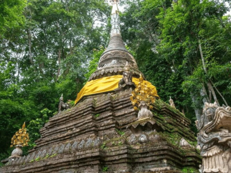 One-Day Private Tour with Driver :Temples & Mae Sa Waterfall - Authentic Experiences and Traveler Insights