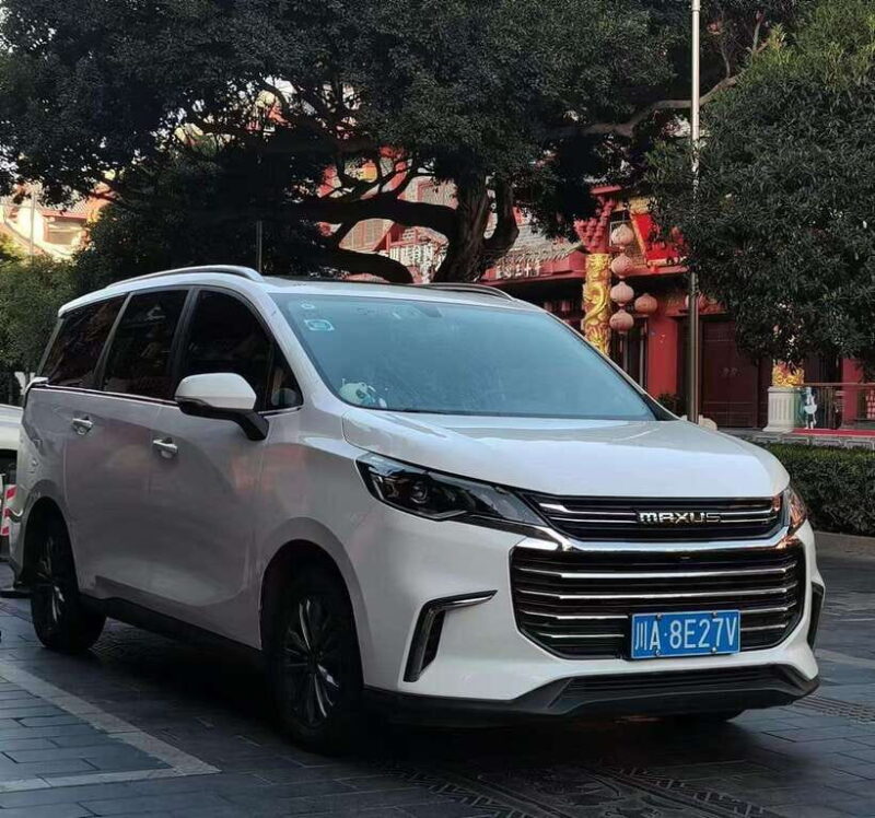 One-day private transfer service to Leshan from Chengdu - Discovering the Leshan Giant Buddha: What to Expect