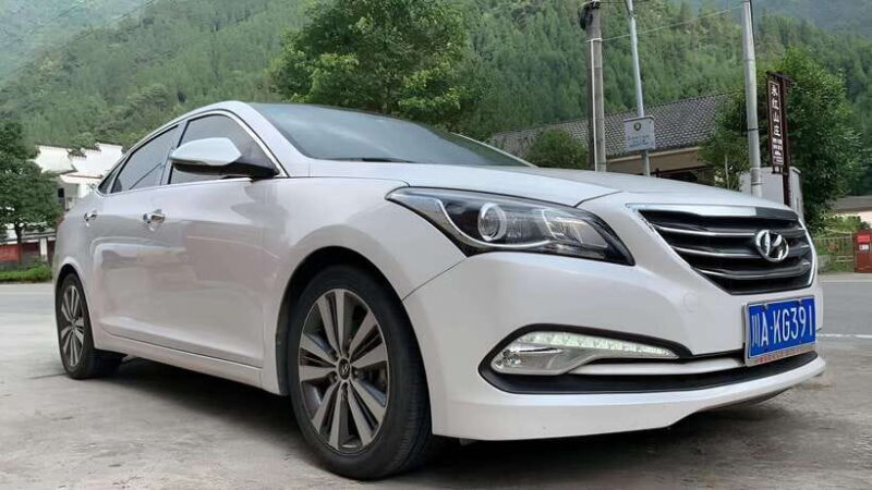 One-day private transfer service to Leshan from Chengdu - Analyzing the value for travelers