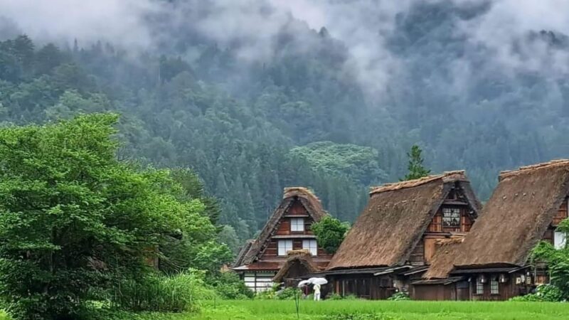 One-Day Private Trip to Shirakawa-go and Takayama - Customer Reviews and Feedback
