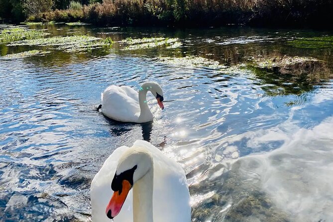 One Day Road Trip from London to The Cotswolds - FAQ