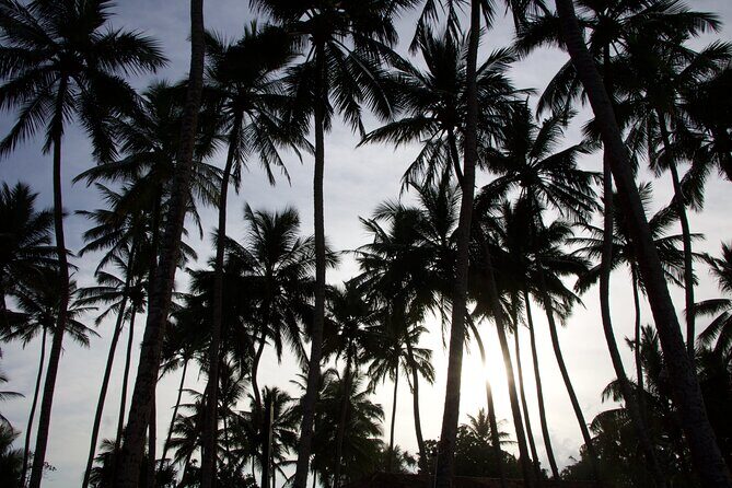 One Day Shore Excursion to Down south Sri Lanka - The Sum Up: Who Will Love This Tour?