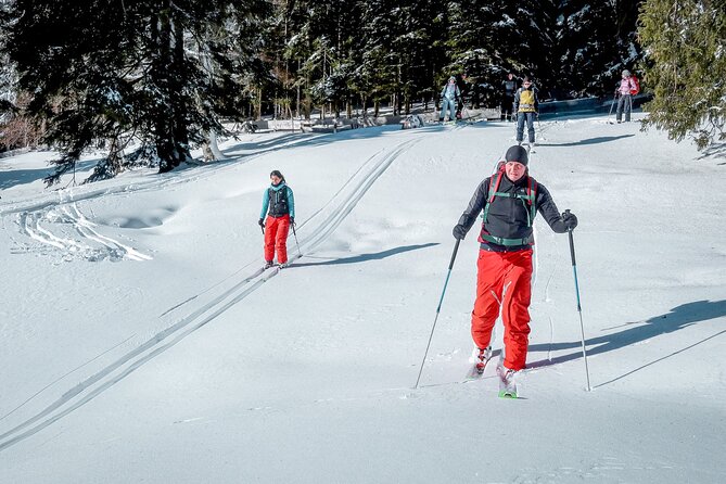 One Day Ski Touring Workshop - Introduction