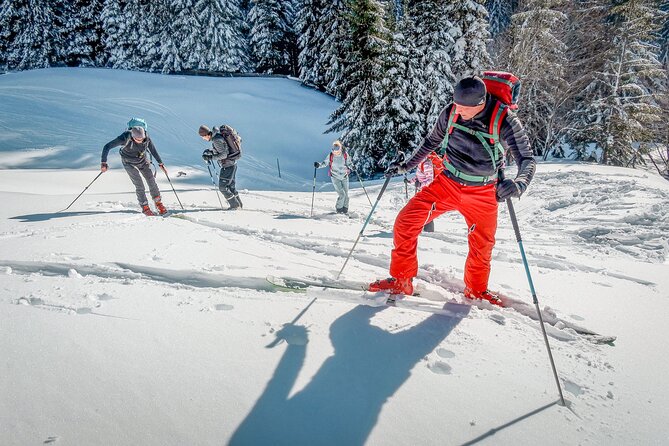 One Day Ski Touring Workshop - Final Verdict