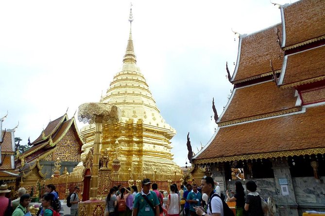 One Day Tour Doi Suthep Temple, Palad Temple, Orchid Farm, Longneck hill tribe village (Private tour) - The Value of the Experience