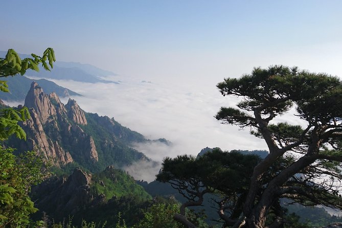 One-Day Tour for stunning Mt.Seoraksan from Seoul - Exploring Seoraksan National Park