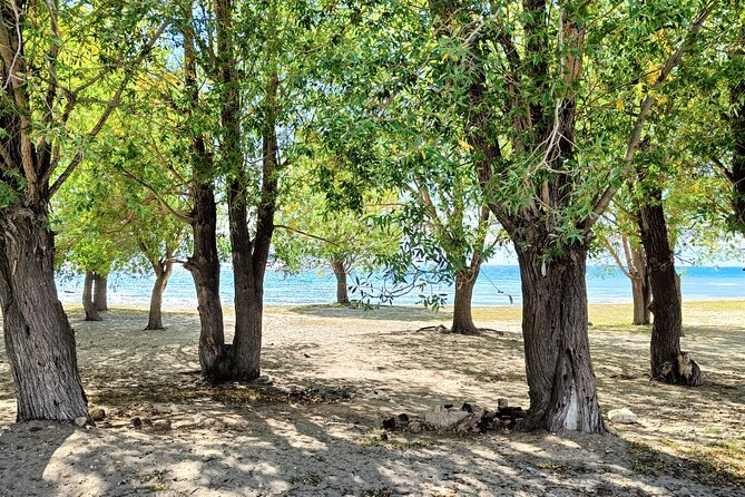 One-day tour from Bishkek to Issyk-Kul Lake - Who Is This Tour Best For?