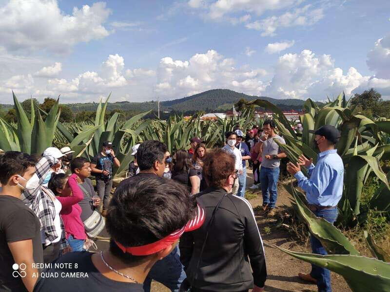 One day tour from Mexico City to Firefly Sanctuary - Who should consider this tour?
